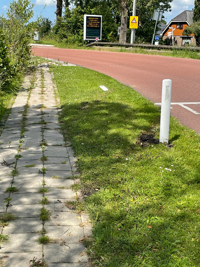 Harry en Erica zijn klaar met alle auto’s die steeds hun tuin in ...