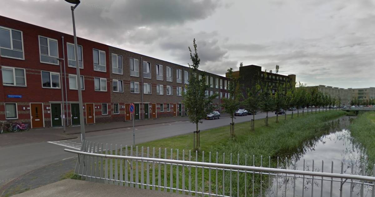 'Meisje van 14 uit Almere zou per ongeluk zijn doodgeschoten door broer ... 'Meisje van 14 uit Almere zou per ongeluk zijn doodgeschoten door broer ...