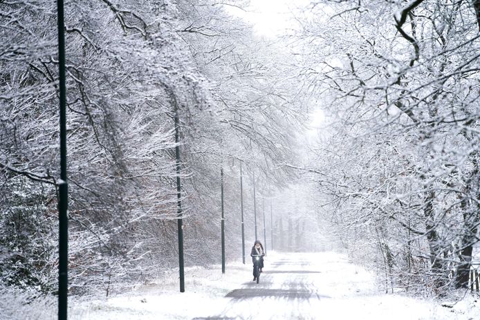 Sneeuwpoppen en mooie landschappen: stuur ons je leukste foto's ...