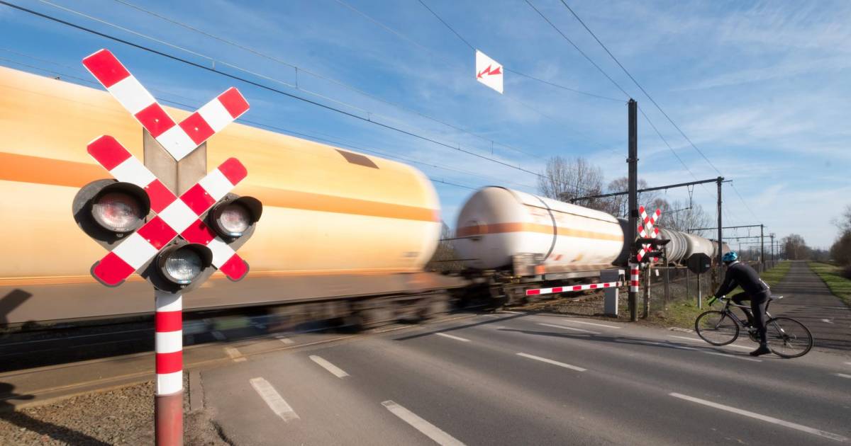 Nederland zet deur op een kier voor spoorverbinding IJzeren Rijn | Limburg | AD.nl