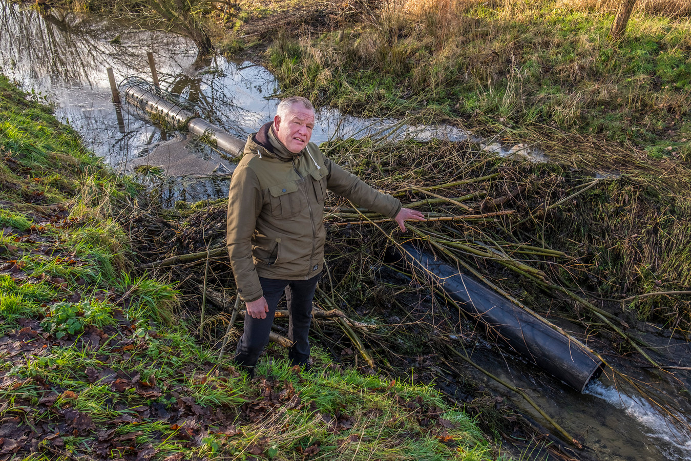 De ‘beaver deceiver’ fopt de bever, maar is goed voor bever en mens ...