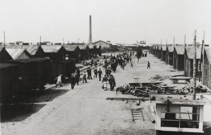 Westerbork: een hel, vermomd als dorp | 75 jaar vrijheid | AD.nl