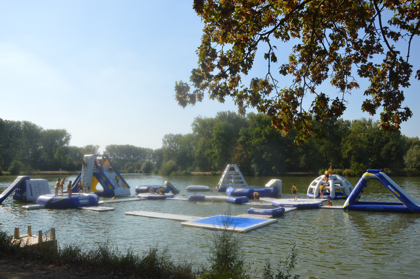 Zwemmen in De Gavers heeft even een heel nieuwe dimensie gekregen ...