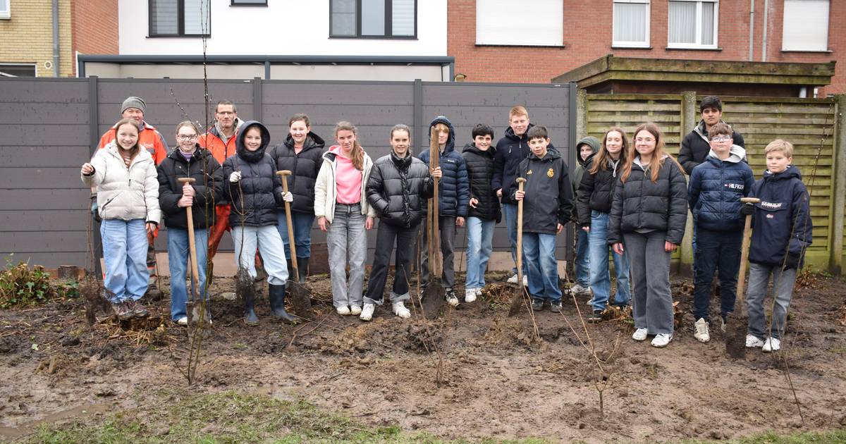 Eerstejaars van De Bron planten samen bomen | Tielt | hln.be