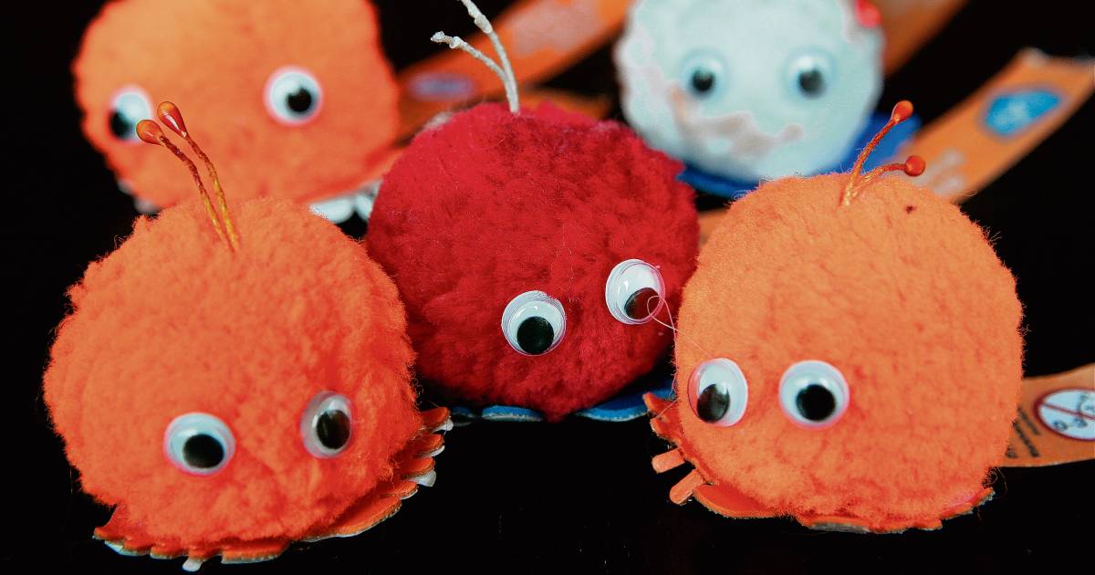 De vrouw van de Wuppies is he-le-maal binnengelopen. Wordt het niet ...