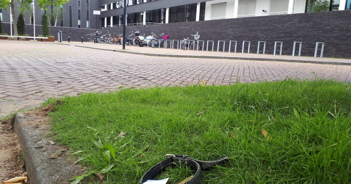 Uitvaart Arie den Dekker vanwege corona alleen voor genodigden | Oss e ...