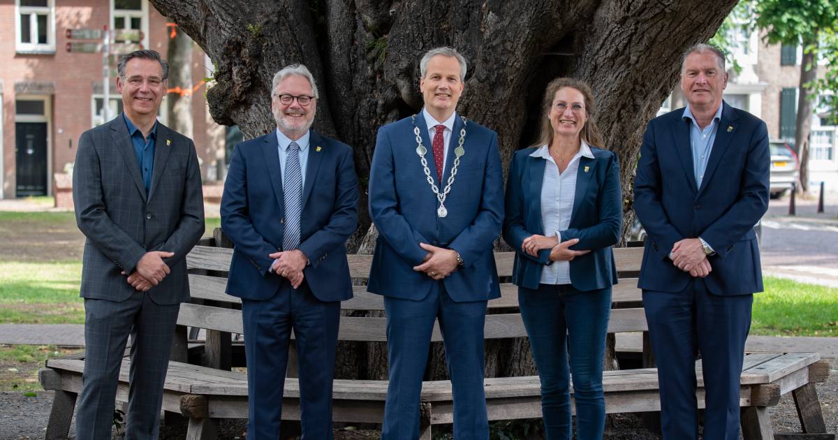 Wethouder Langens verlaat Hilvarenbeek: gele kaart van raad in ...