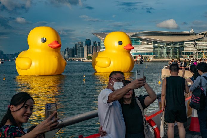 Ook deze enorme badeend bezweek vandaag onder de hitte | Buitenland ...