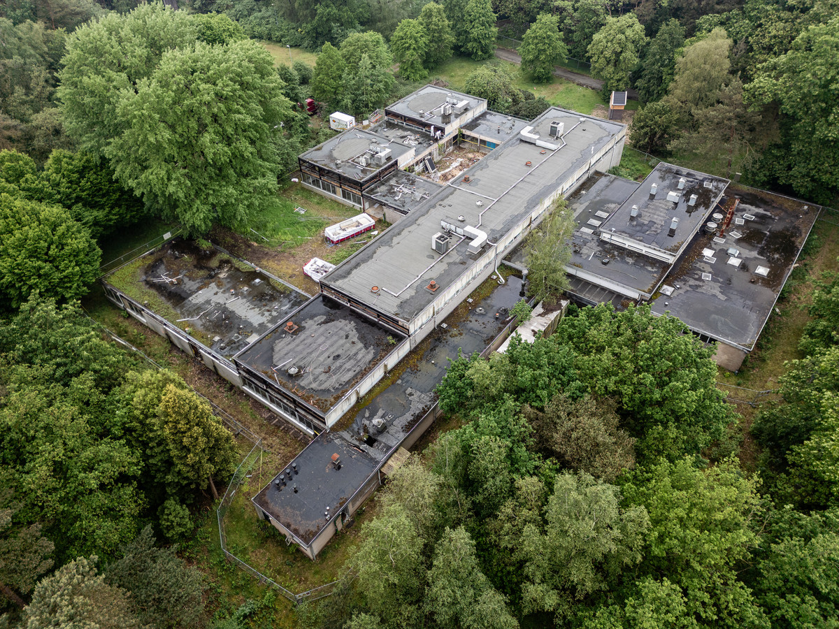 Historisch Kamp van Zeist maakt ruim baan voor de natuur: ‘Het bos is ...