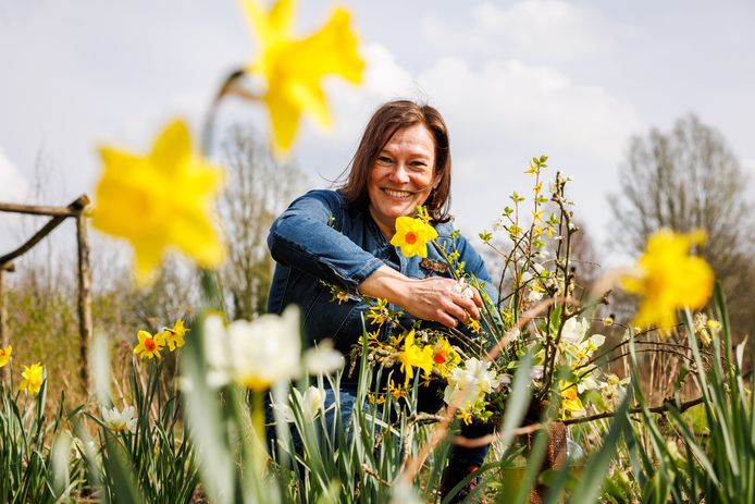 Zonnebloemen in de winter? Doe Katja maar ‘slow flowers’, zoals ...