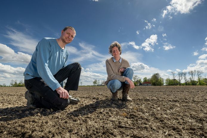 Bedrijf van Koen en Marit is letterlijk het afvoerputje van de polder ...