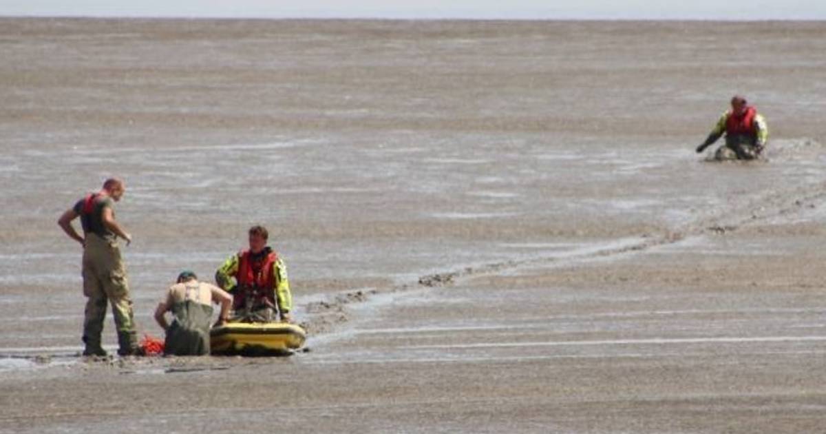 Zeeuwse landmeter muurvast in het slib: ‘Het had geen half uur langer ...