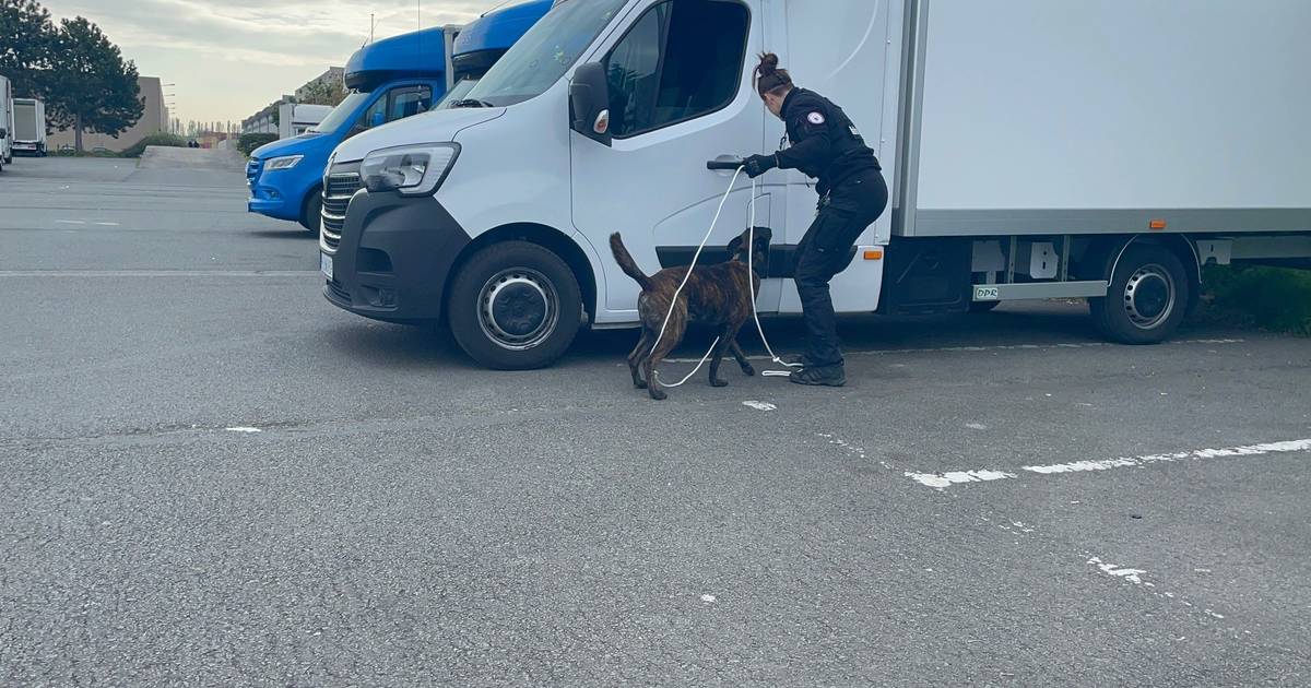 Transportzone LAR in Rekkem afgesloten voor controle-actie | Menen | hln.be