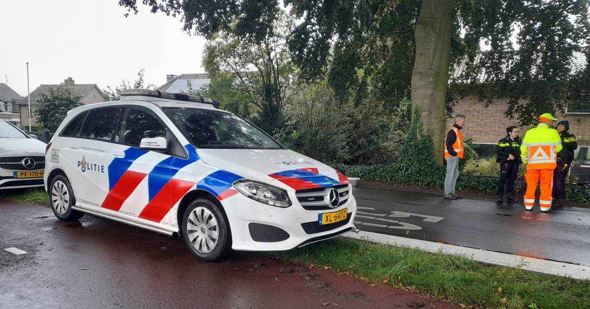 Bestuurder negeert stopteken verkeersregelaar en rijdt hem aan ...