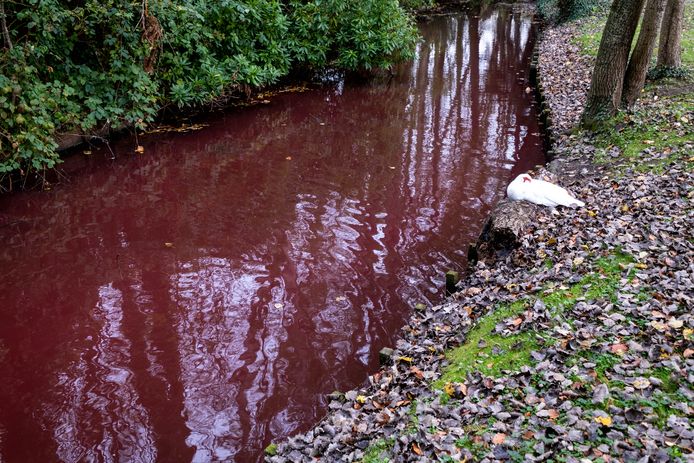 Gracht Tivoli kleurt bloedrood: “Heeft niks te maken met Halloween ...