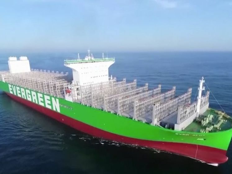 Van teeuw tot walfijn: de meest bijzondere kruisingen in dierenland ...