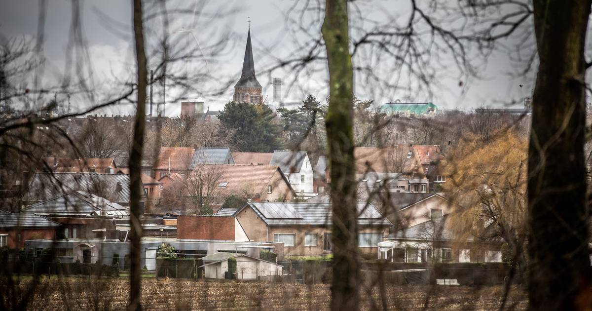 Zijn de appartementsprijzen in Tessenderlo bij de duurste van ...