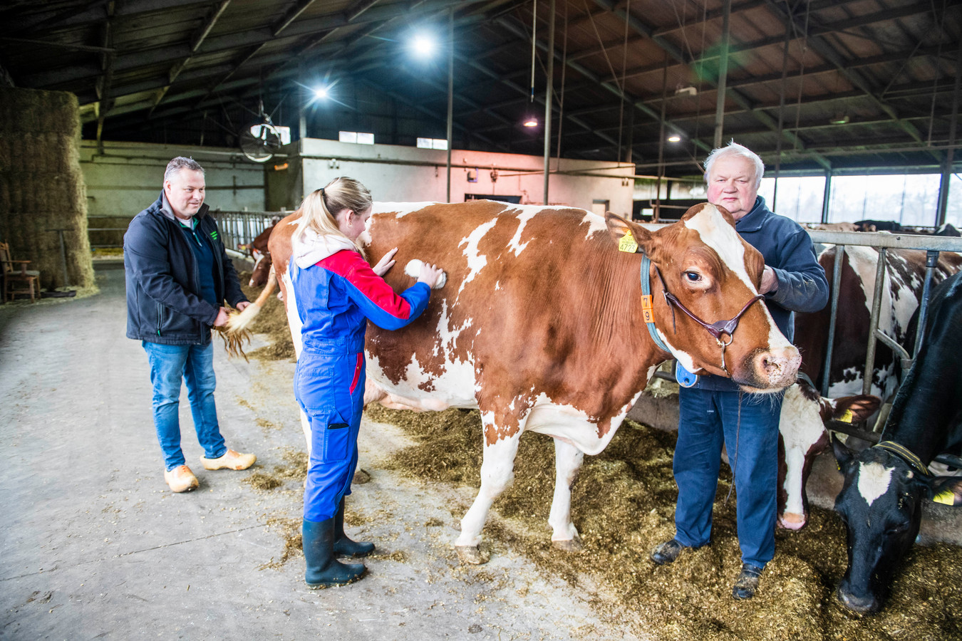 Familie Eggerink uit Rectum zette alles op alles voor hoogbejaarde ...