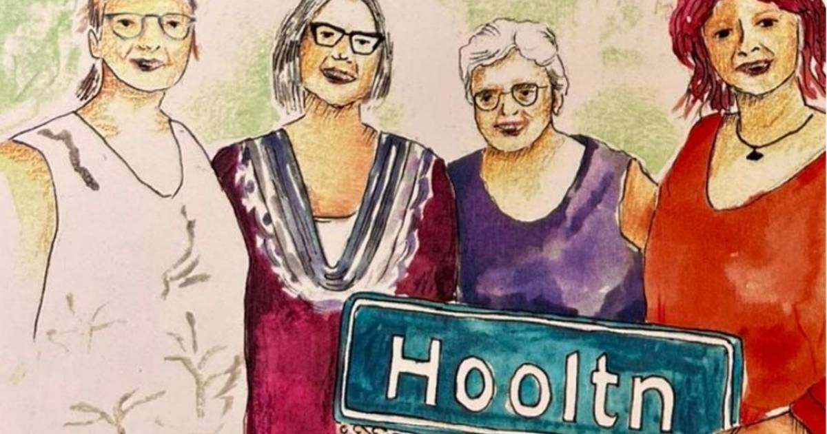 Ik proate Hooltns, ie ok? Een boek vol woorden, uitdrukkingen en ...