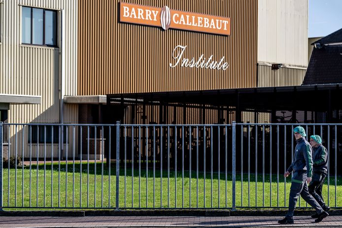 Positief resultaat voor arbeiders na nieuw overleg tussen Barry ...