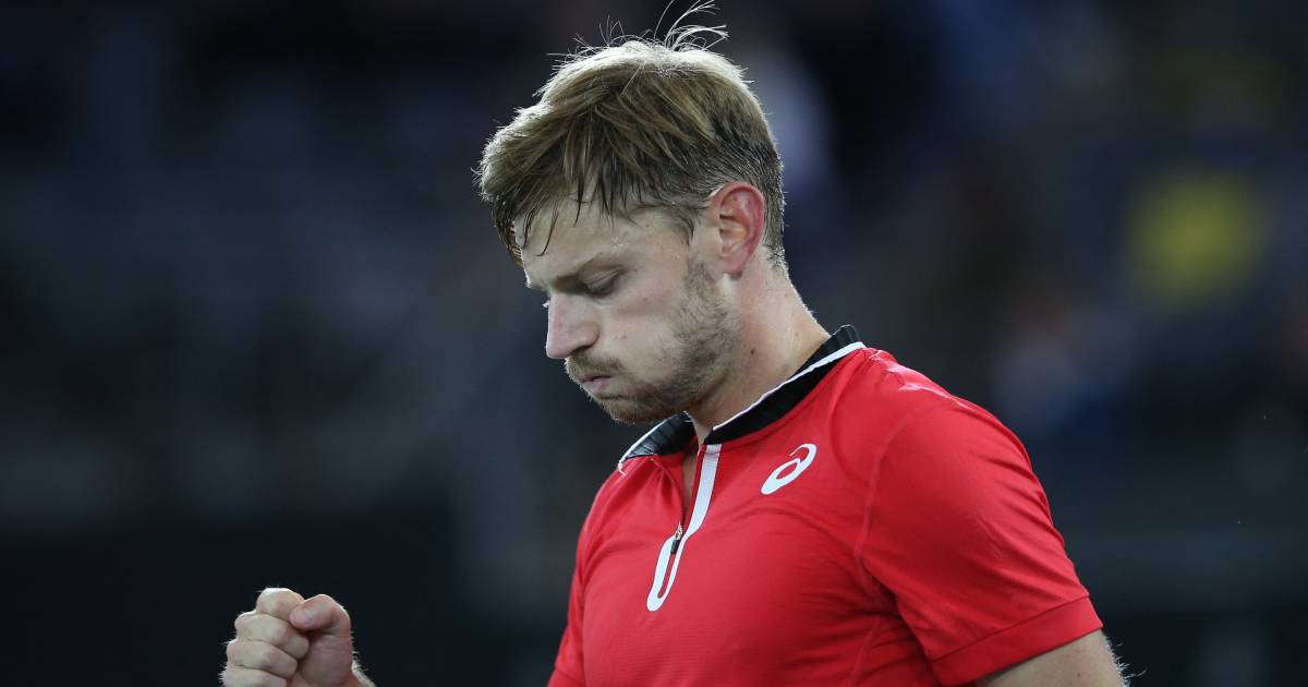 Alcaraz rend hommage à Goffin: "David a joué merveilleusement bien ...