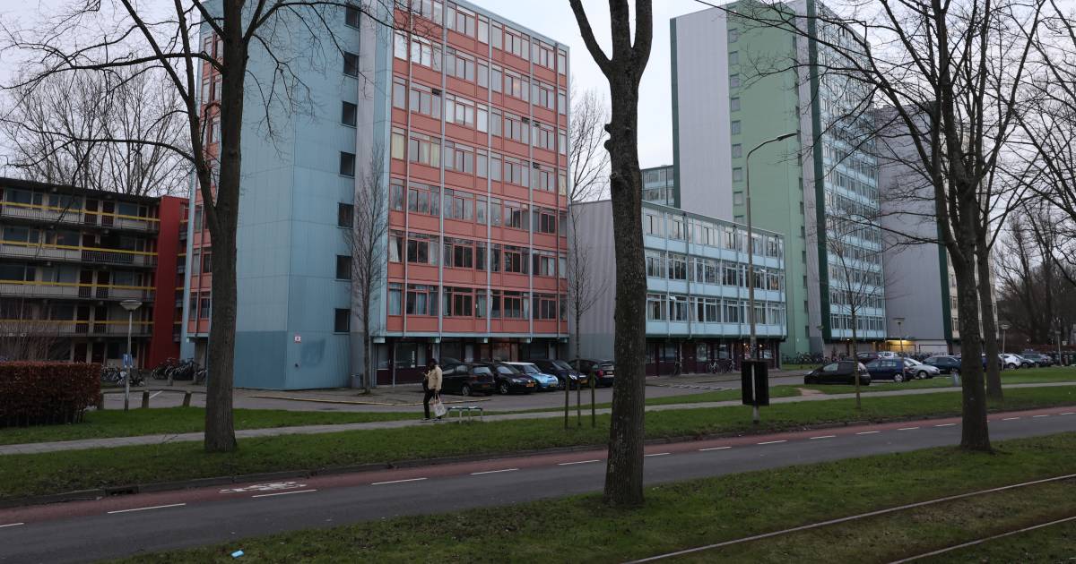 DUWO maakt ‘pas op de plaats’ met bouwplan voor massaal studentencomplex aan Van Hasseltlaan ...
