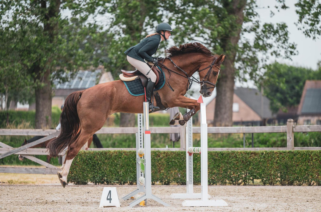 Gereanimeerde Sindy herstelt na harde val: “Mijn paard zou op mij zijn ...
