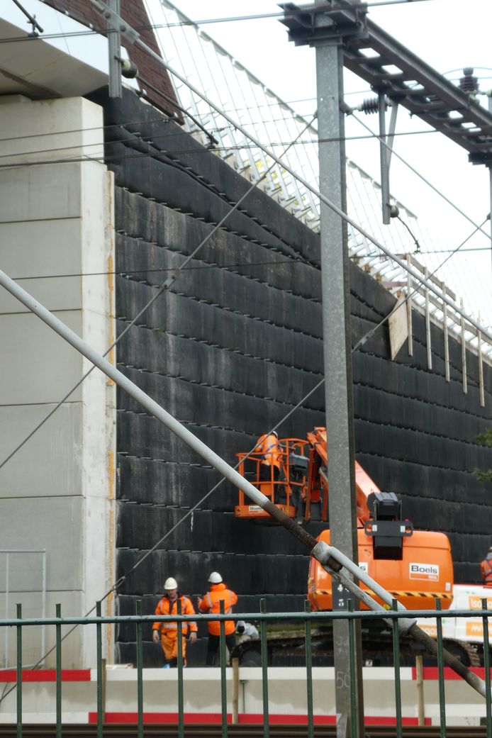 Ree en edelhert huppelen straks boven stoptrein Boxtel-Best naar ...