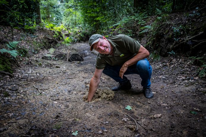 Dit is waarom voor ecoloog Mark elke druppel water telt in landgoed ...