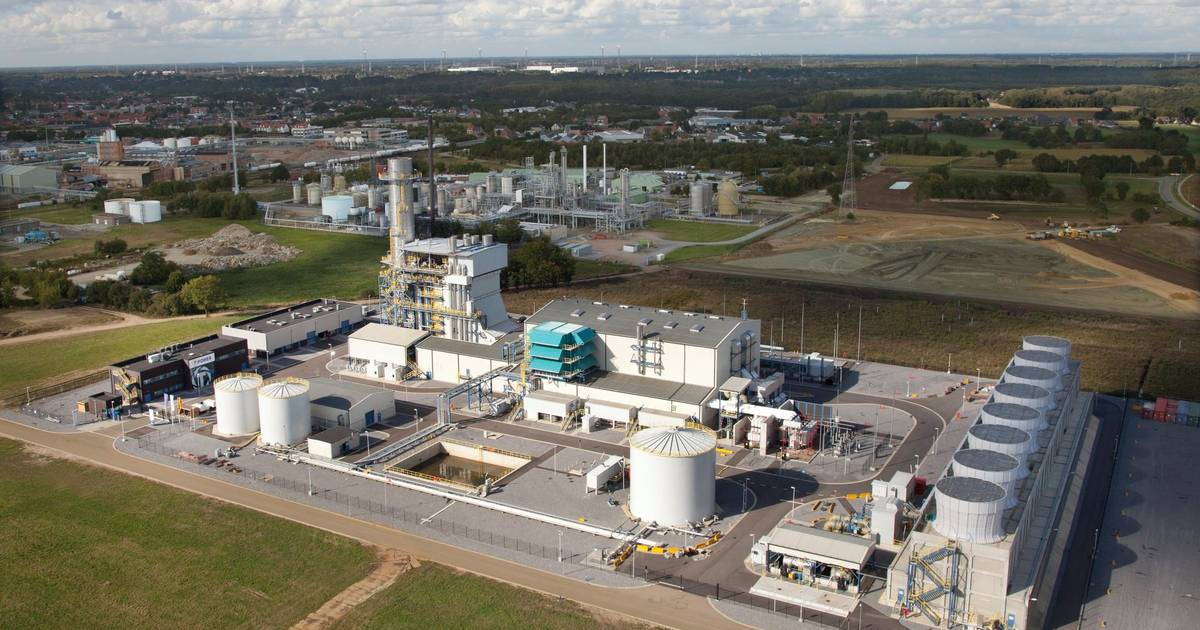 Tessenderlo Group verkozen tot meest aantrekkelijke werkgever van ...