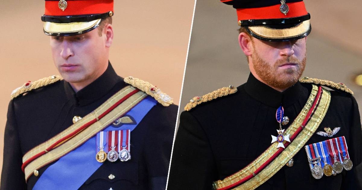 Waar liep het eigenlijk fout tussen prins William en zijn broer ...