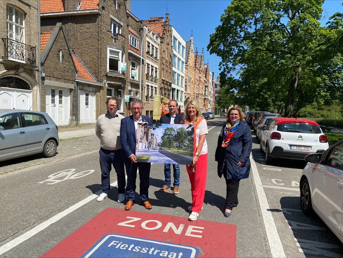 Werken om van Filips de Goedelaan een parklaan en fietsvriendelijke weg ...
