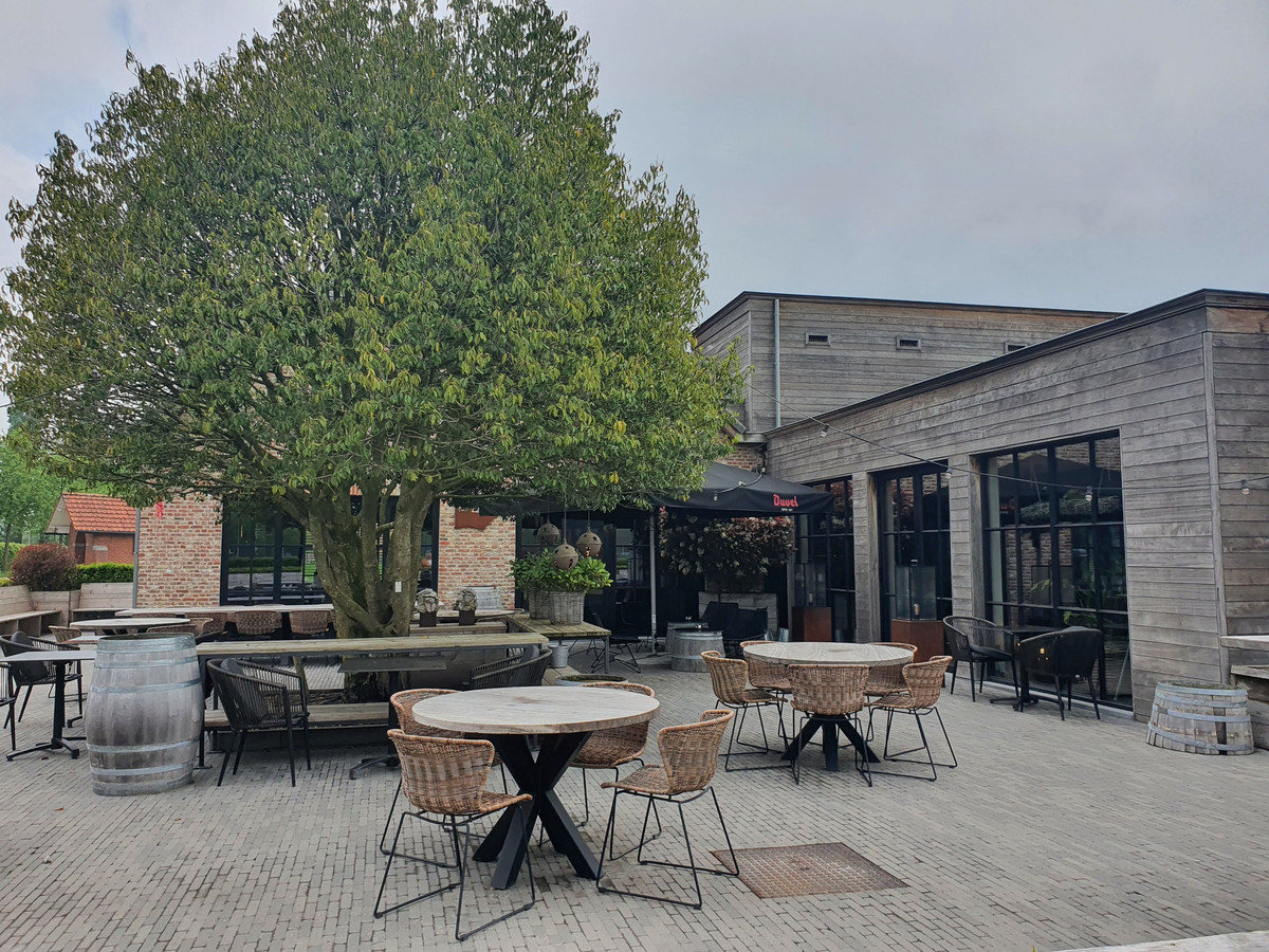 RESTOTIP. Culinair genieten op restaurantniveau in brasserie De Bosduif ...