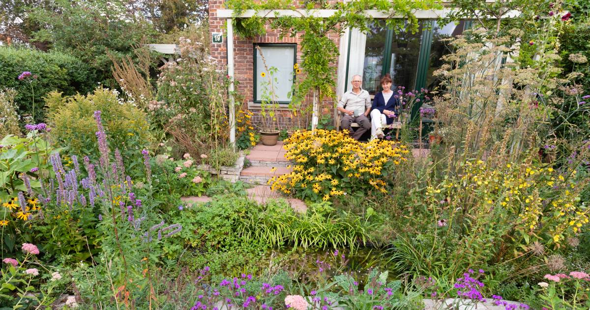 Marianne en Mark kijken altijd uit naar zaterdag: ‘Dan hebben we tijd ...