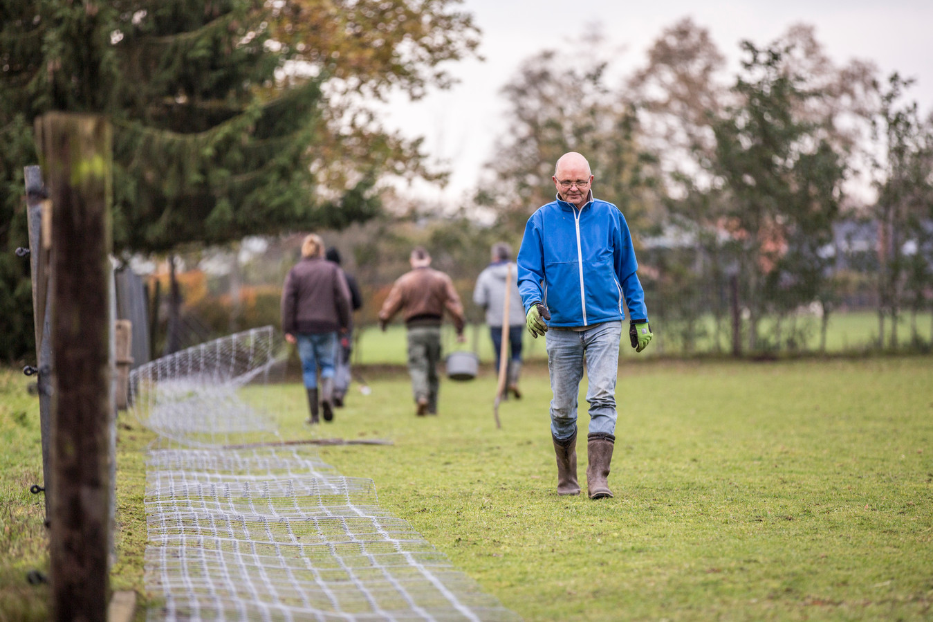Angst voor wolven neemt toe, hobbyboer Henk uit Ruurlo beschermt zijn ...