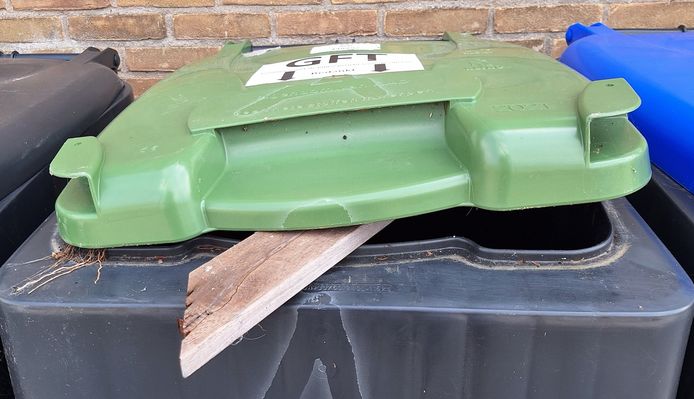 Broeiende gft-containers en maden: voorkom de zomerse plaag met deze ...