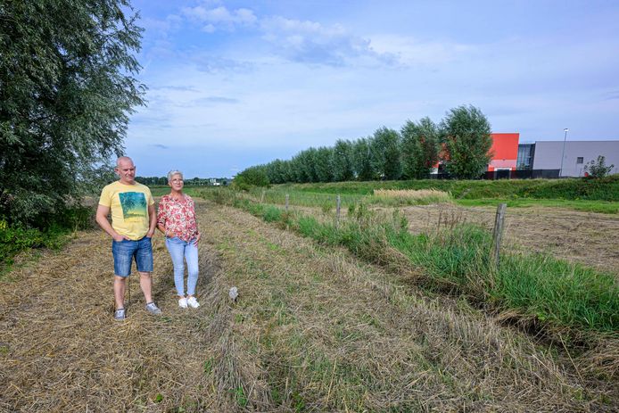 Uitbreiding distributiecentrum Lidl aan Zwarthoofd Etten-Leur flinke ...