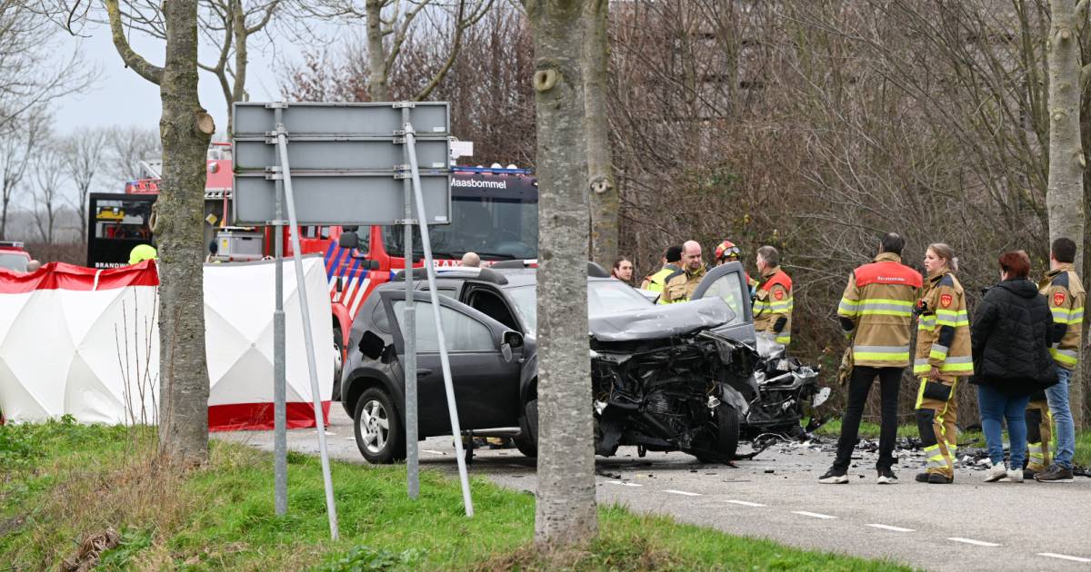 Dode bij frontale botsing in Appeltern komt uit Oekraïne, shock in ...
