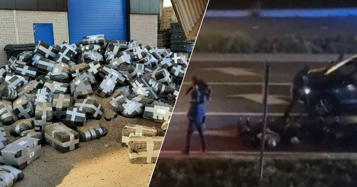 Zeven gewapende Nederlanders opgepakt in België, band met enorme ...