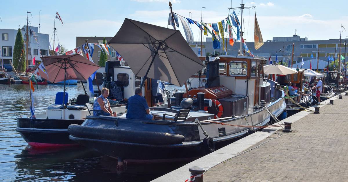 Havendagen Zeewolde gaat voor stapje groter met optreden Mooi Wark | Zeewolde | destentor.nl