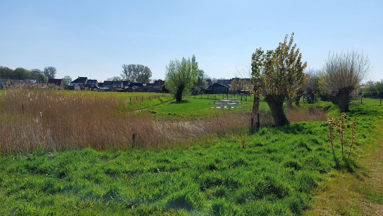 Dudzele heeft er met Cathemgoed een publieke groenzone bij als buffer ...