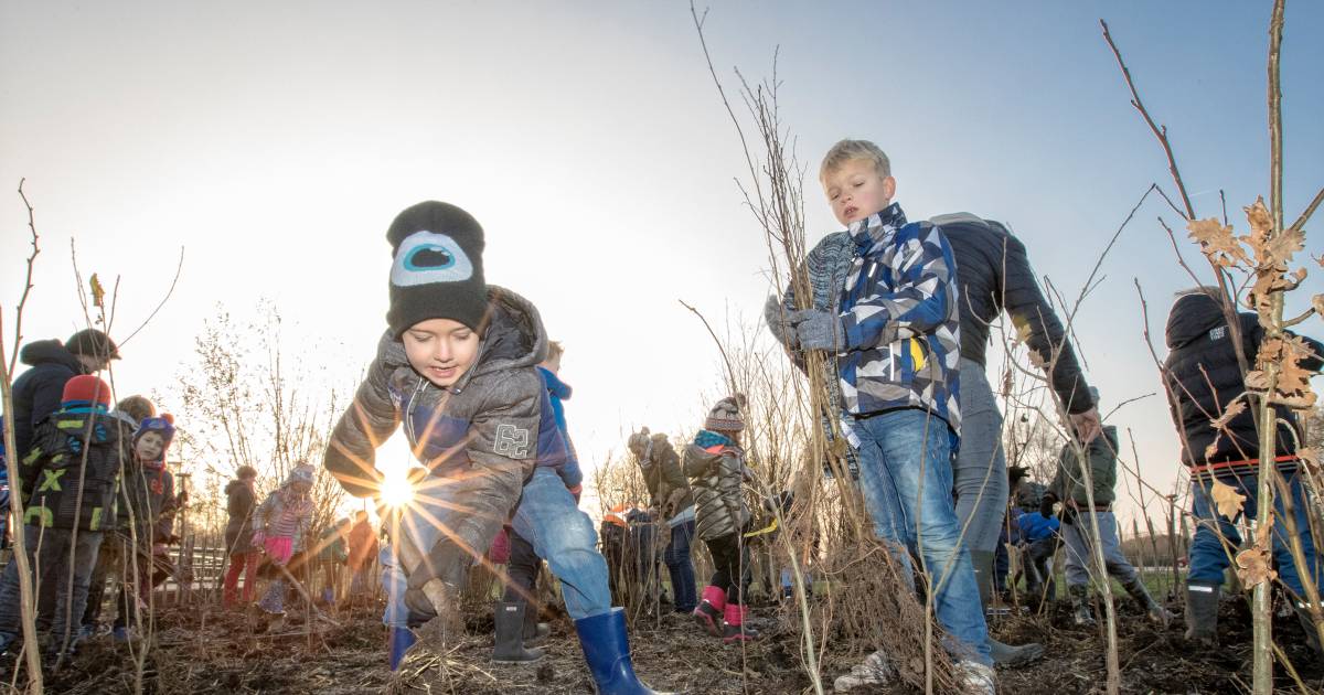 Alphen kiest locaties voor tiny forests | Alphen | AD.nl