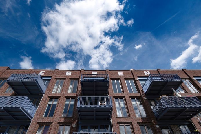 ‘Dames’ op nieuw Helmonds gebouw leidt tot verwarring: ‘Is daar een ...