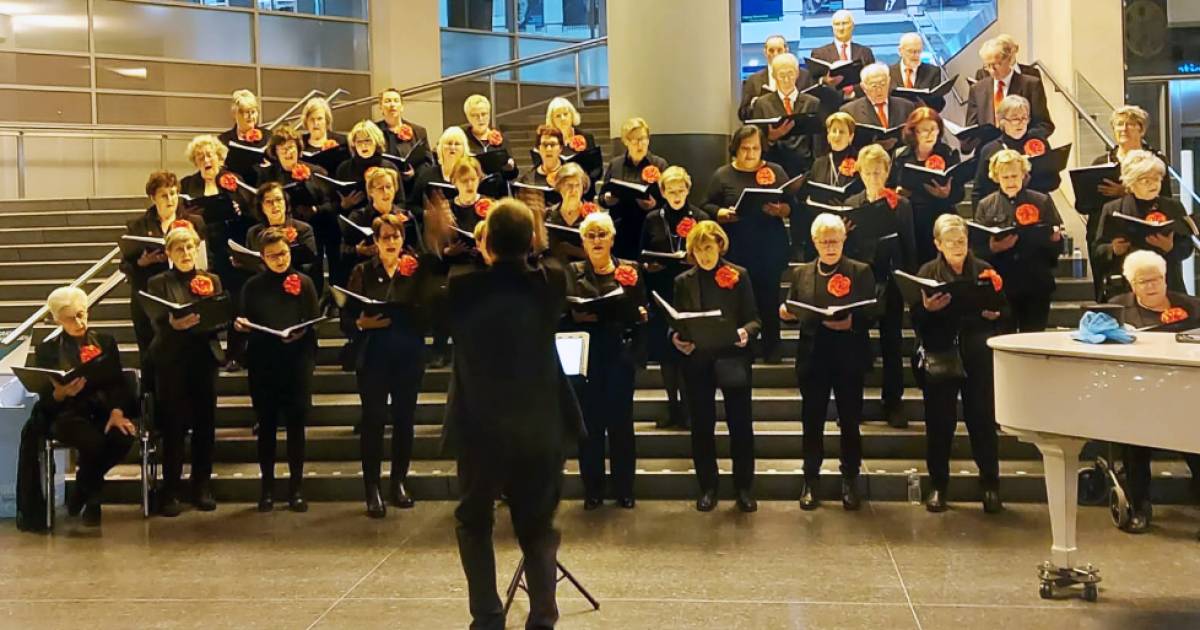 Gemengd koor Chapeau bestaat 25 jaar | Rotterdam | AD.nl