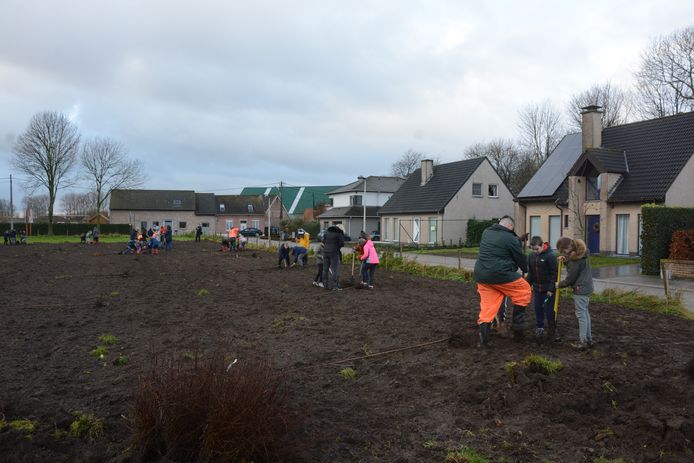 Groen licht voor ‘Groenplan Kallo’: 1,5 hectare nieuwe speelnatuur voor ...