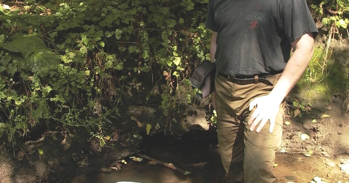 Natuurgids Eric Joye zoekt deelnemers voor Bigfoot-expeditie in Canada ...