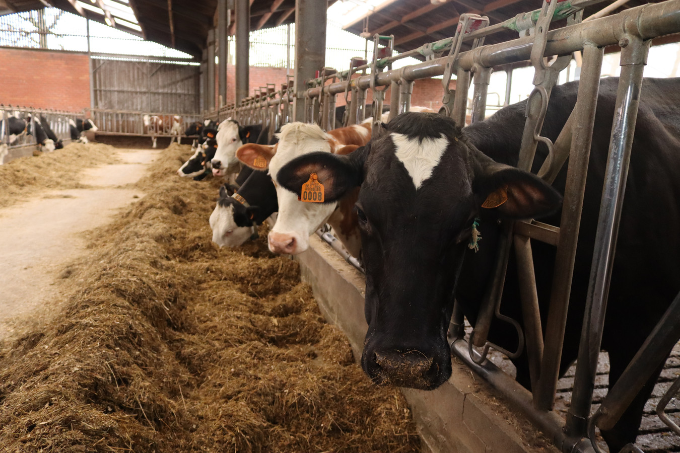 Minister bezoekt boerderij Johan Van Goethem: “Erkenning voor harde ...