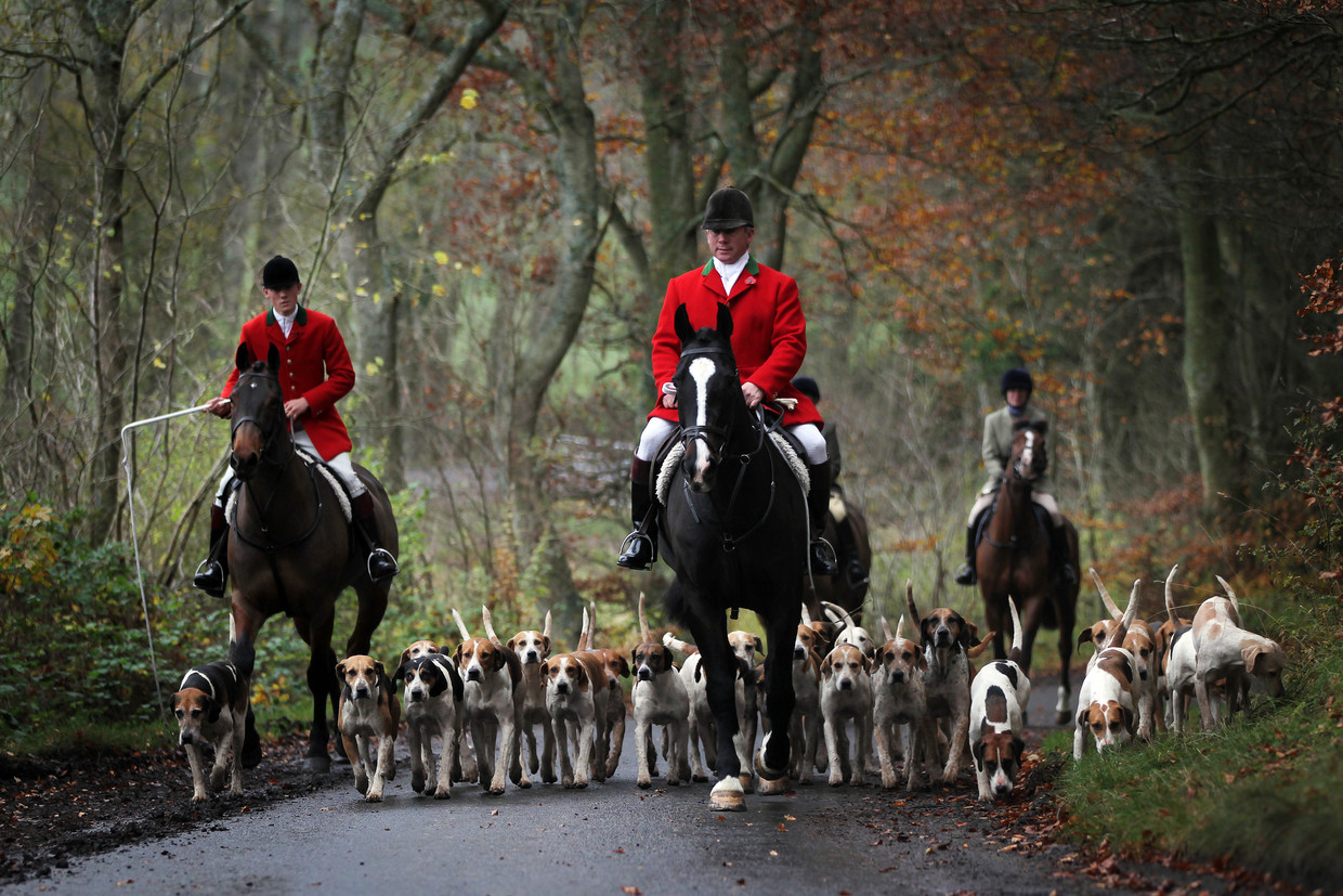 Tradities in één keer aanpassen? Kleine kans | De Volkskrant