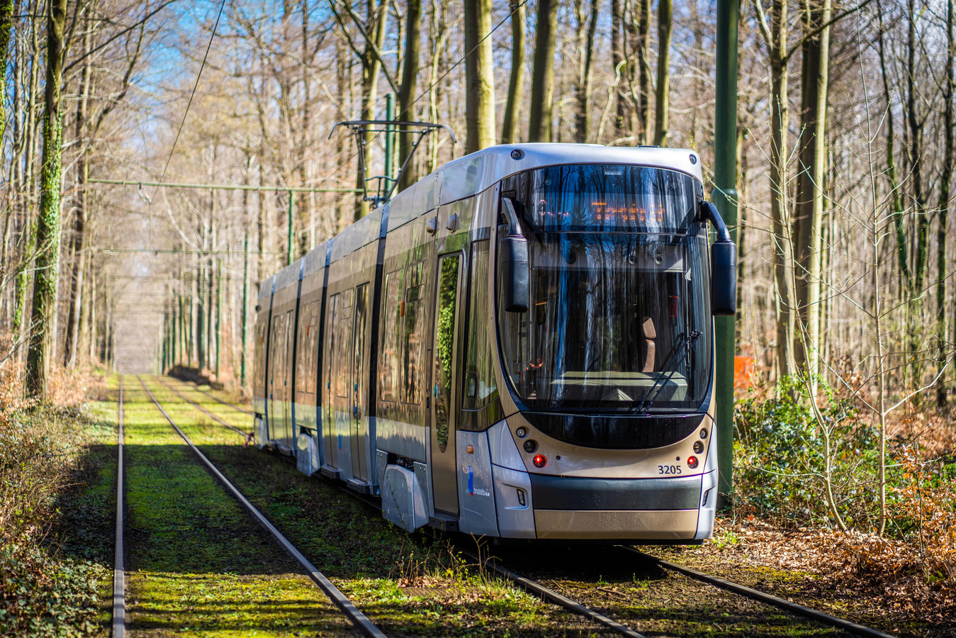 Eerste reizigers aan boord van nieuwe trams MIVB | Foto | hln.be