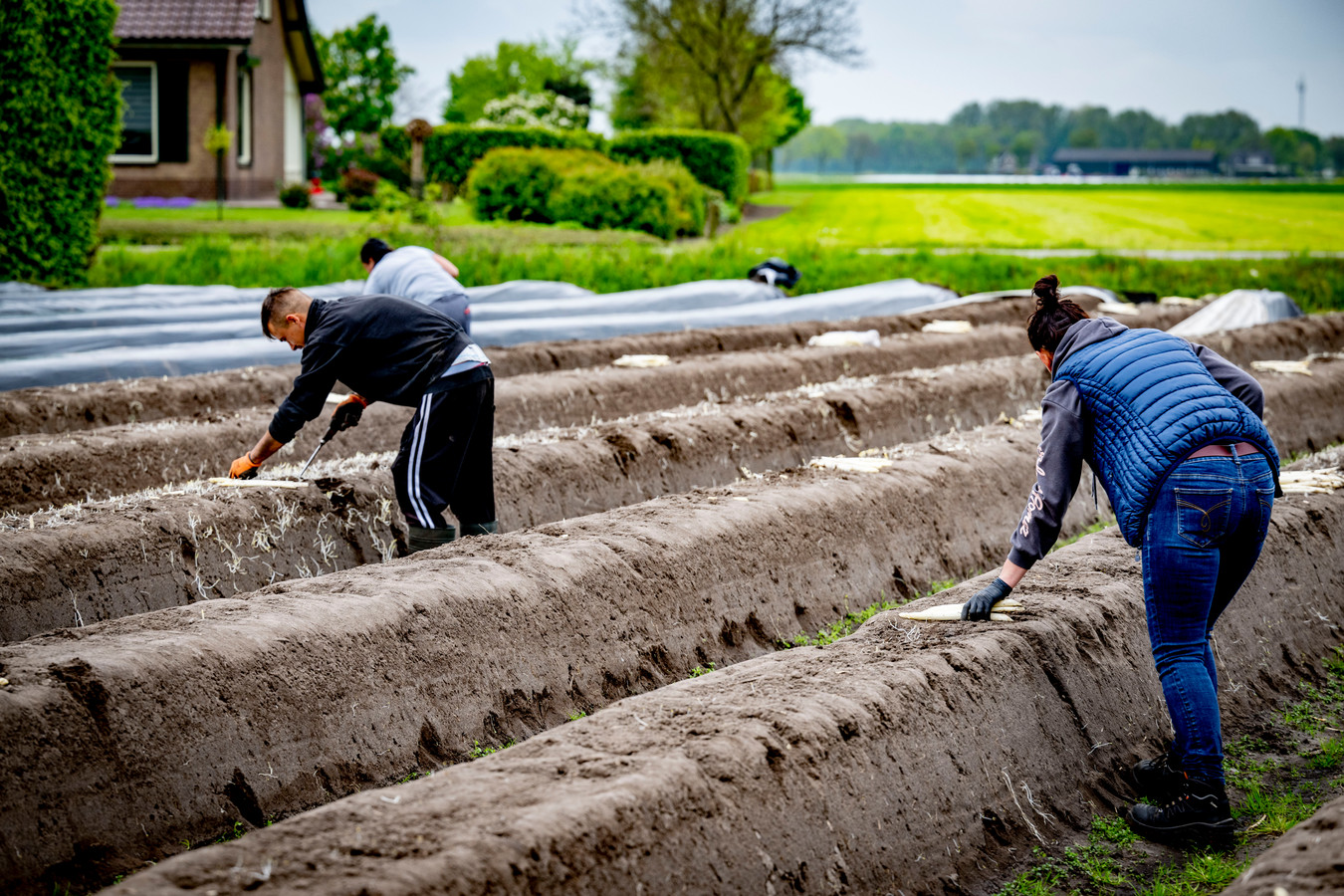 Arbeidsmigranten moeten hun huis in Duiven uit, want ze vormen geen ...